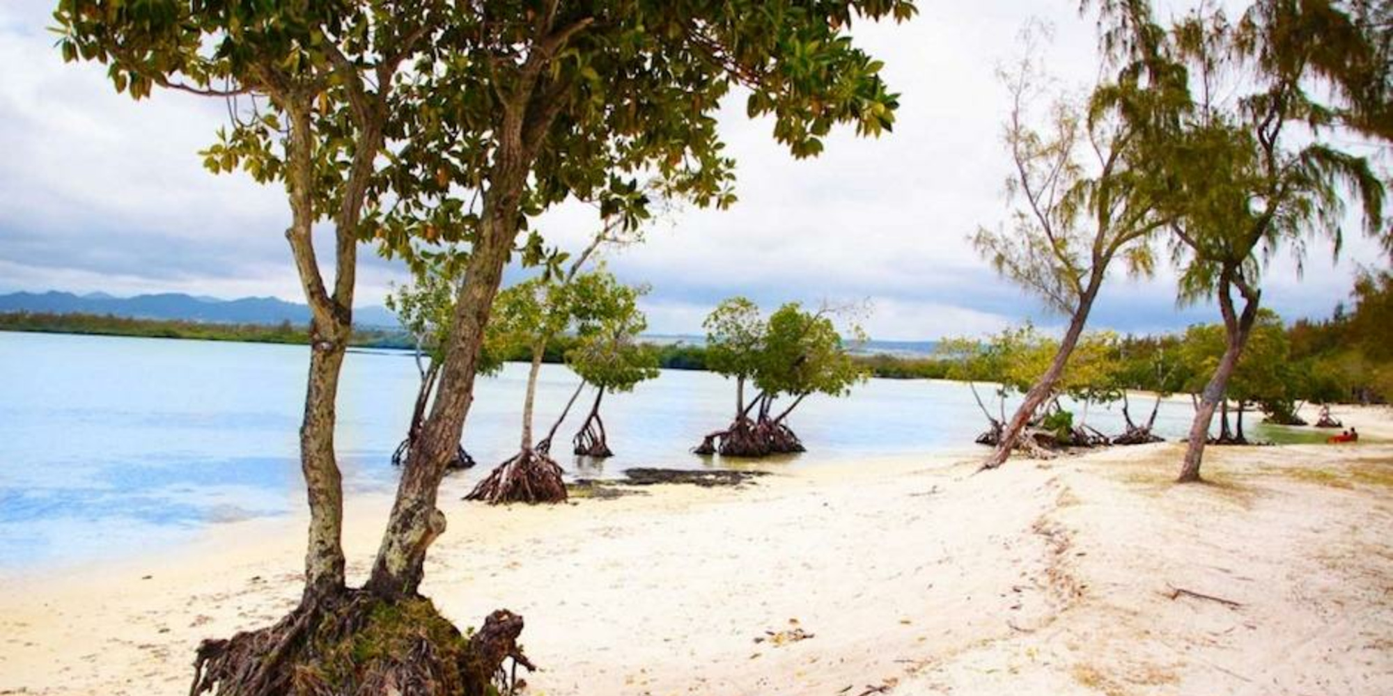 blog : Air Mauritius